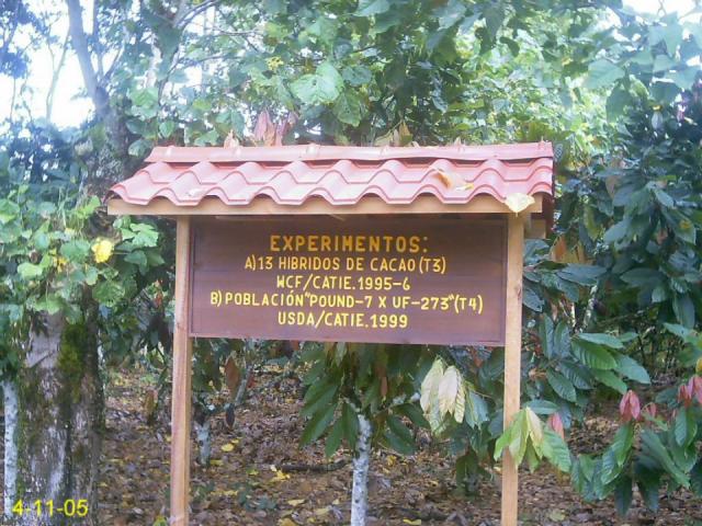 Rótulos de madera Turrialba - Mercado Forestal Costa Rica