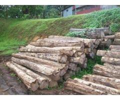 Madera rolliza ó en troza - Mercado Forestal Costa Rica